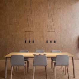 Vibia Wireflow Lineal 0338 Pendant Lighting black