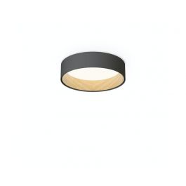 Vibia Duo 4872 DALI Ceiling Lights anthracite